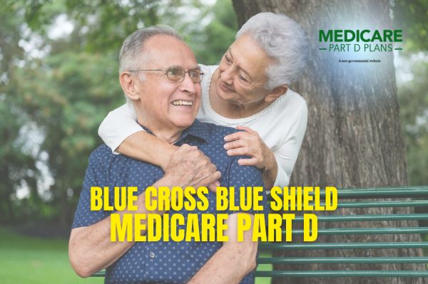 Understanding Blue Cross Blue Shield Medicare Part D